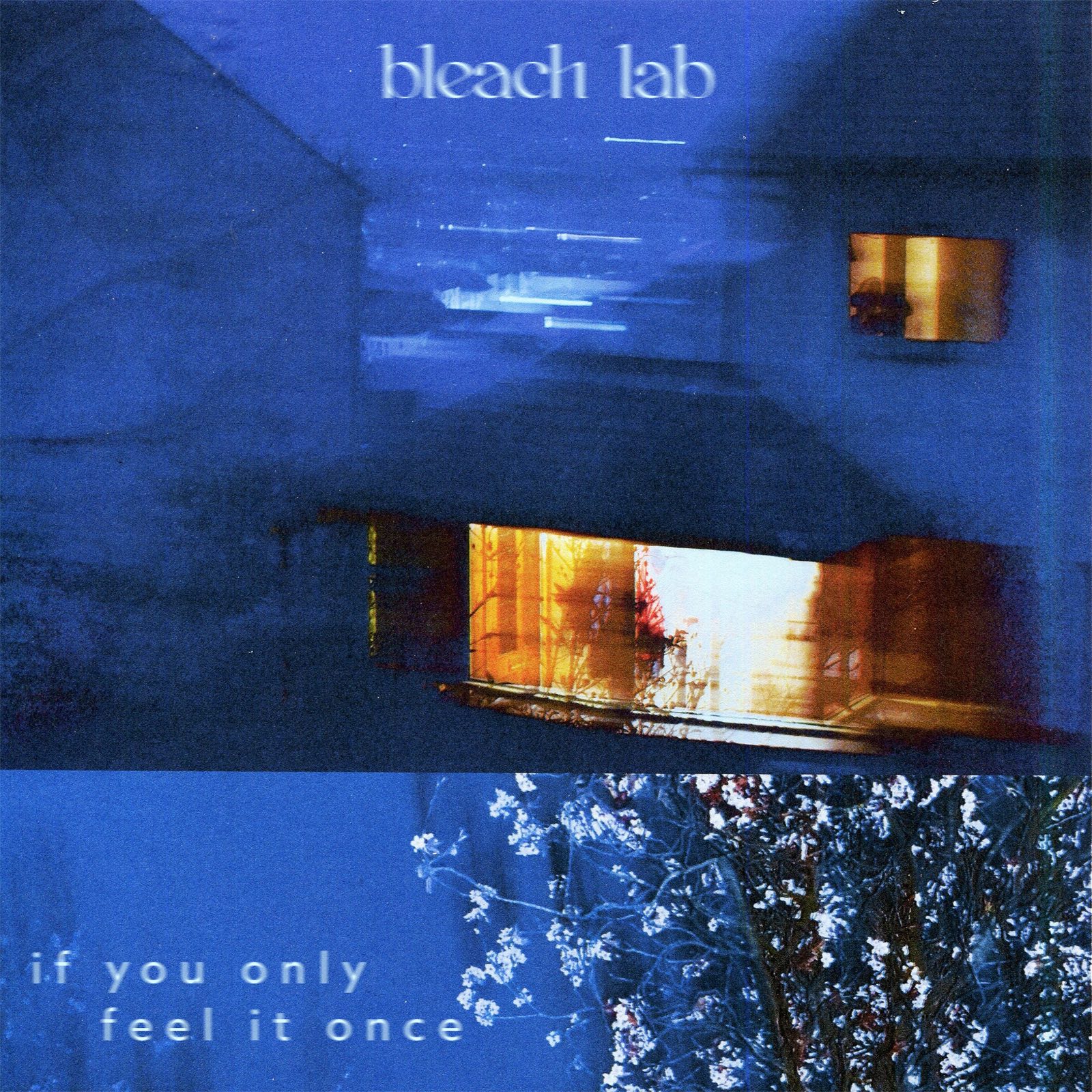 Review | Bleach Lab - If You Only Feel It Once - Clunk Magazine