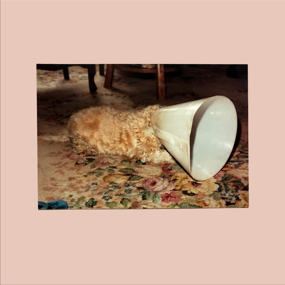 Review | Langkamer - No - Clunk Magazine
